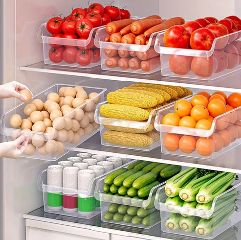 Kitchen Refrigerator Drawer Storage Box – Luxury Homes Collections